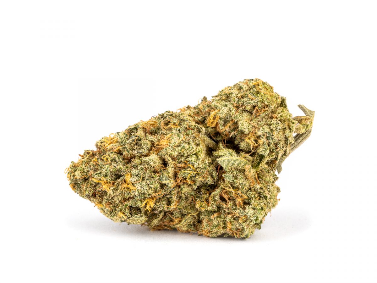 Gelato 33 Strain - Healing Empire