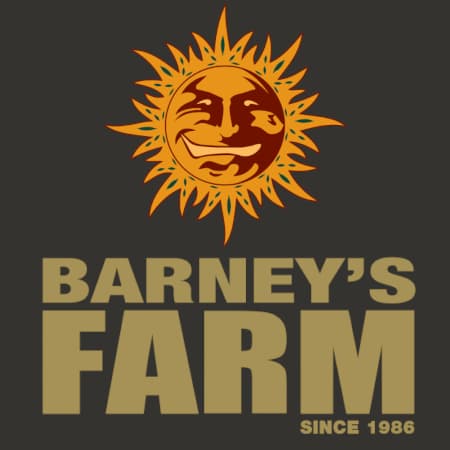 Barney's Farm: The History of a Legendary Cannabis Seed Bank - Healing ...
