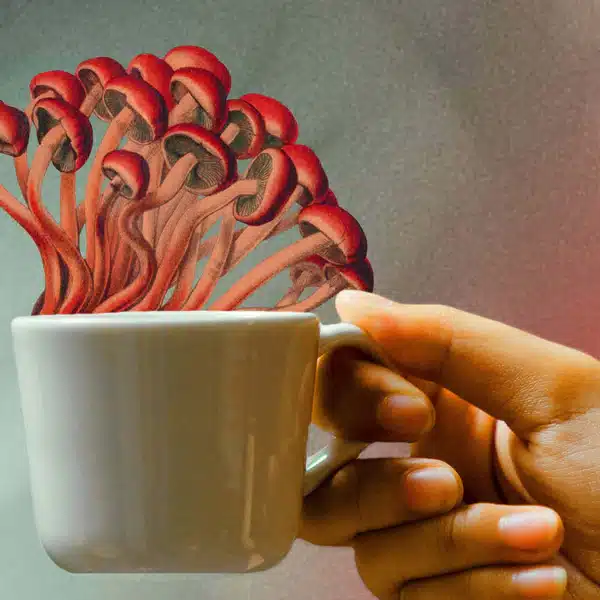 The Magic of Psilocybin: A Closer Look at Magic Mushroom Tea - Healing ...